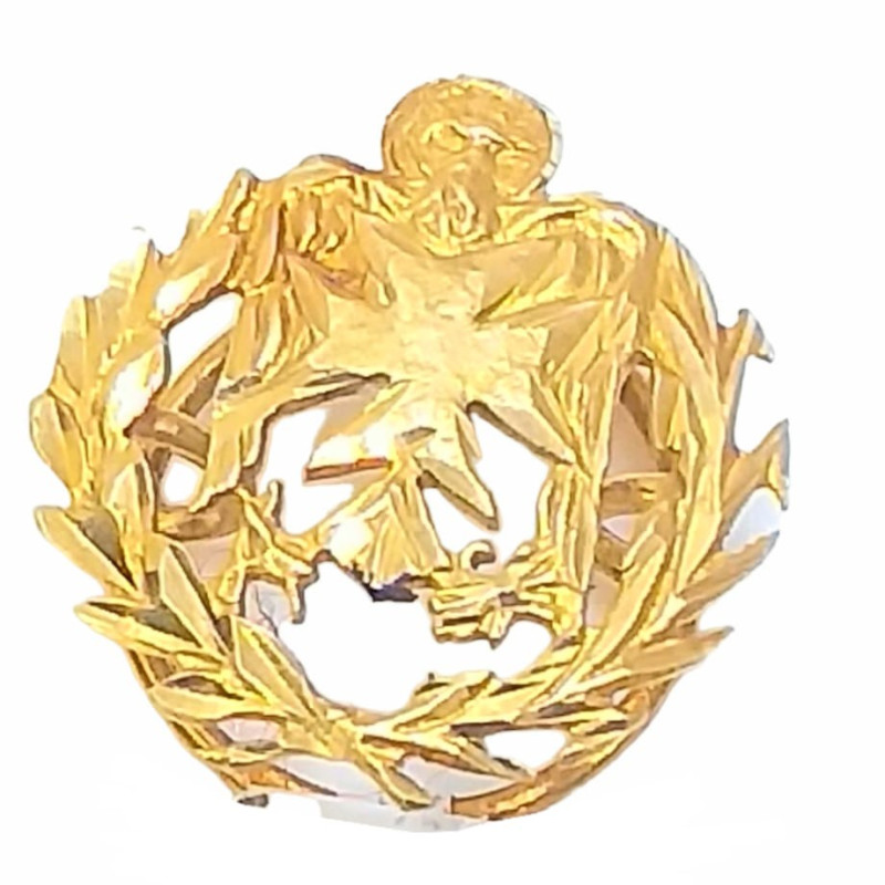 Broche Solapa Oro Pin Insignia Enfermeria - MONTERO JOYEROS